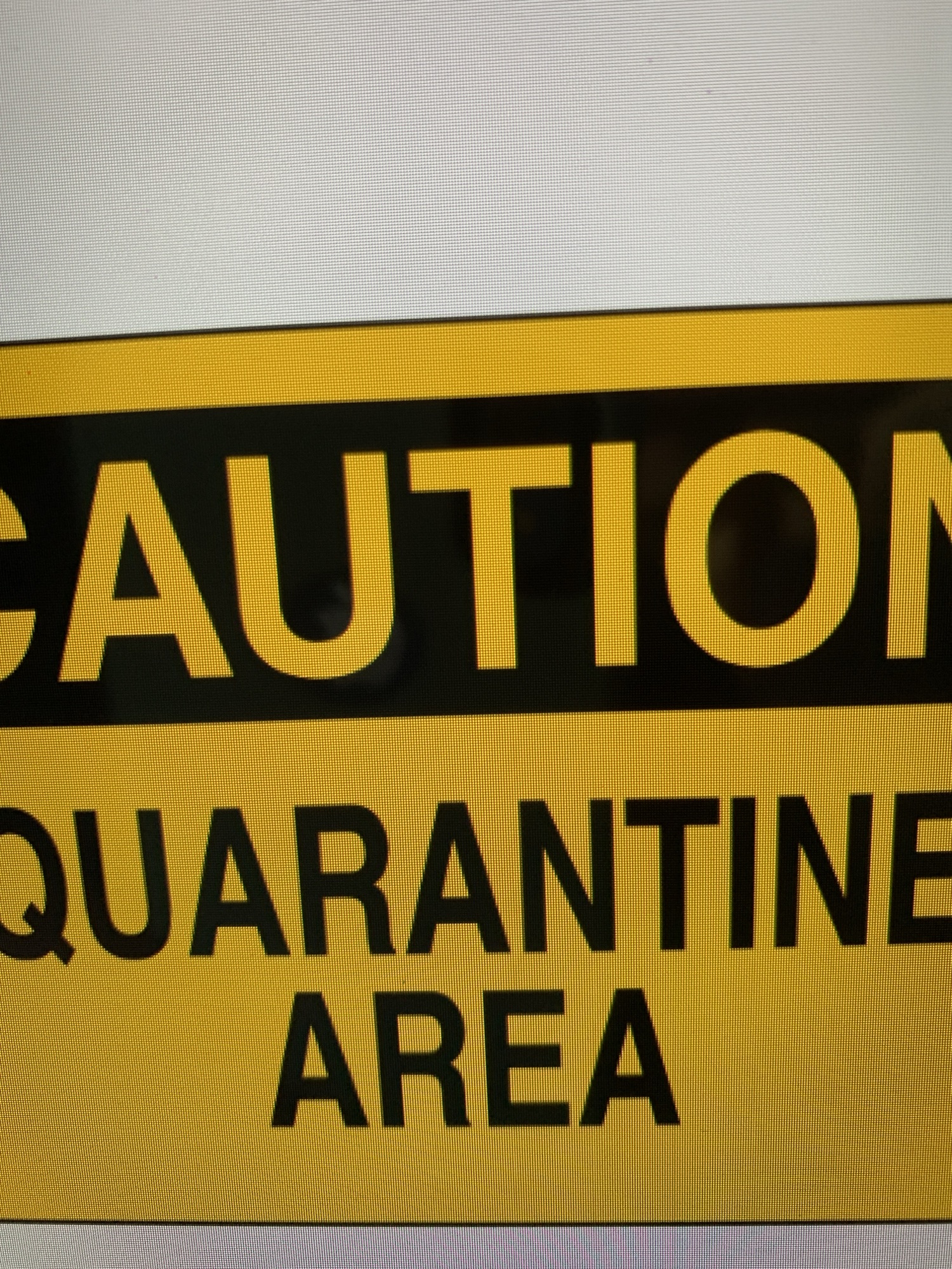 Applesauce – Susan Bass Marcus Writes